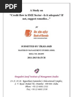 Name Mismatch Declaration | PDF | Business | Law