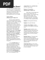 Common Bone Markings | PDF