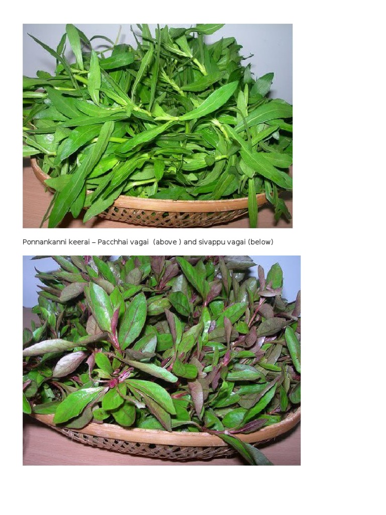 Ponnankanni Keerai - Pacchhai Vagai (Above) and Sivappu Vagai (Below) | PDF