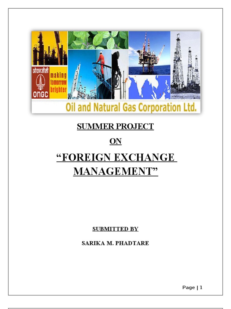 Foreign Exchange Management Project | PDF | Foreign Exchange Market ...