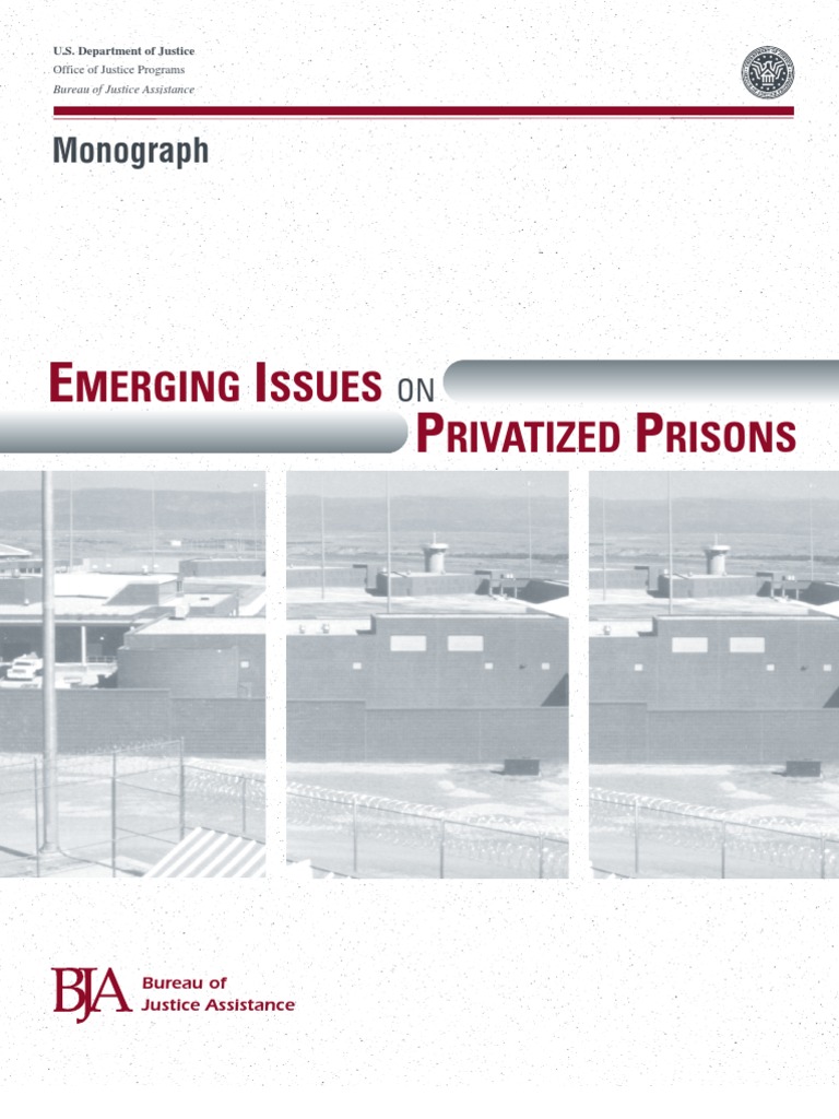 Emerging Issues in Privatized Prisons | PDF | Private Prison | Prison