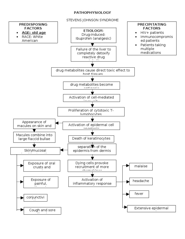Pathophysiology of Stevens Johnson Syndrome SJS | PDF