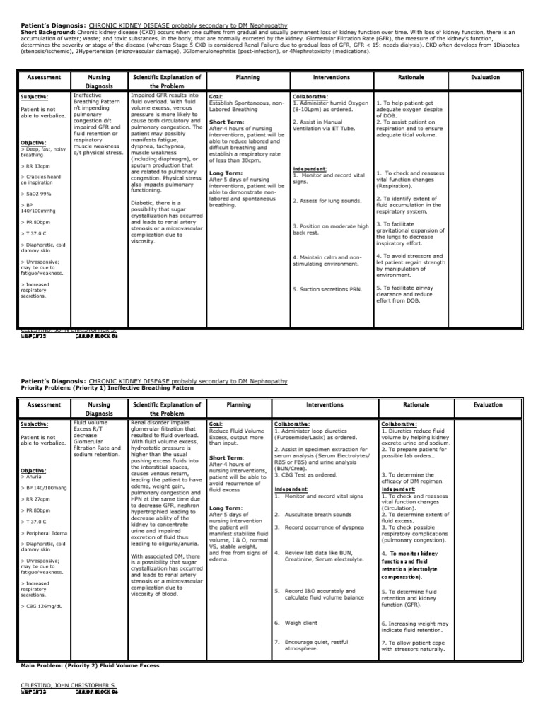 Nursing Care Plan for CKD Management | PDF | Renal Function | Kidney