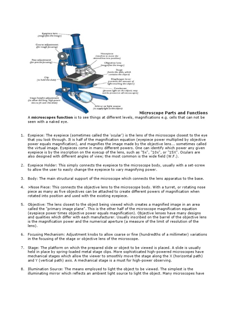 Microscope Parts and Functions | PDF | Lens (Optics) | Optics
