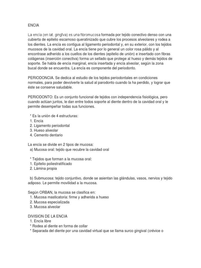 Anatomía y Función de la Encía | PDF | Diente humano | Epitelio