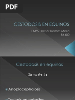 Parascaris Equorum. 2 | PDF | Caballos | Équidos