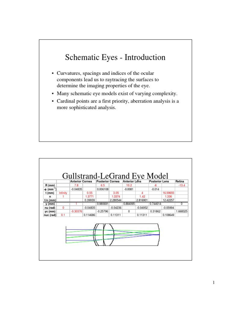 Eye Models | PDF | Human Eye | Cornea