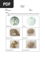 Labeled Anatomy of Sponges Worksheet | PDF | Sponge | Cell (Biology)