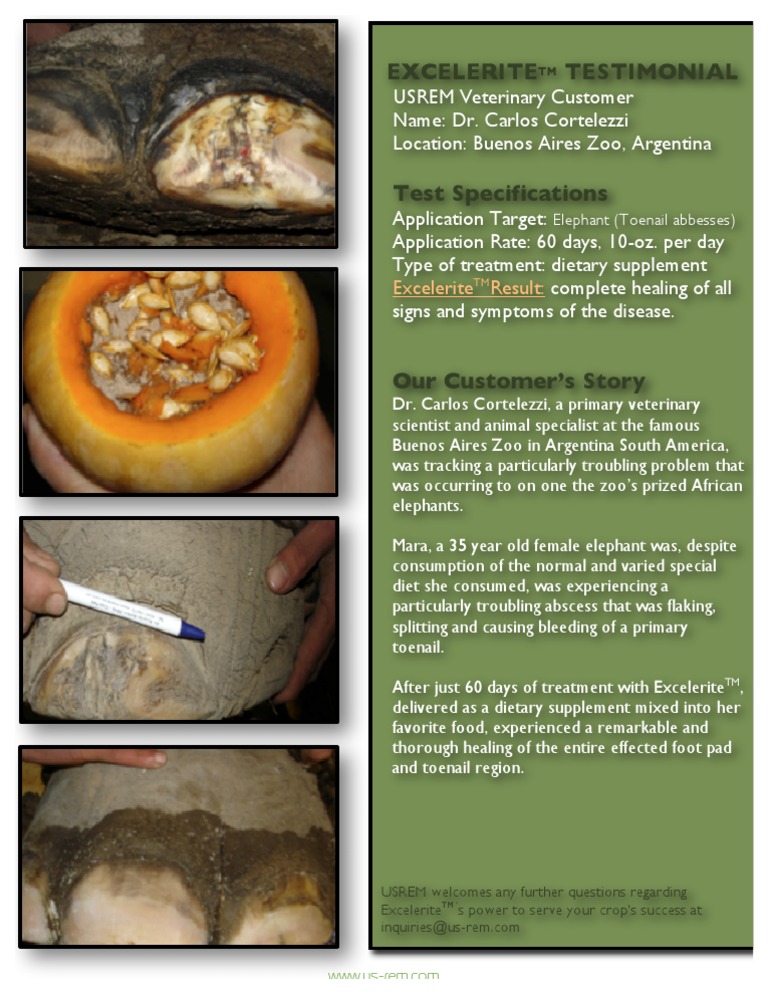 Excelerite™ Success for Elephant Healing | PDF
