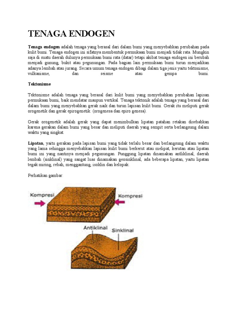 Tenaga Endogen | PDF