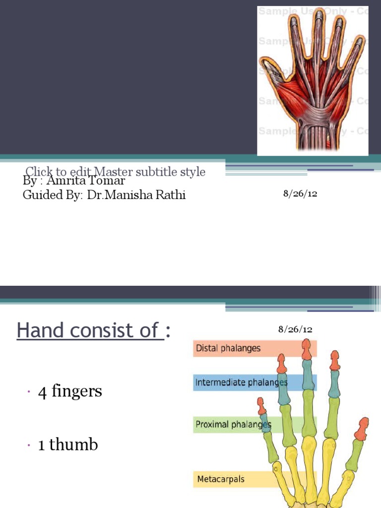 Biomechanics & Pathomechanics of Hand | PDF | Thumb | Hand