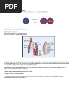 Ventilación Pulmonar - Capítulo 38 | PDF | Pulmón | Sistema respiratorio