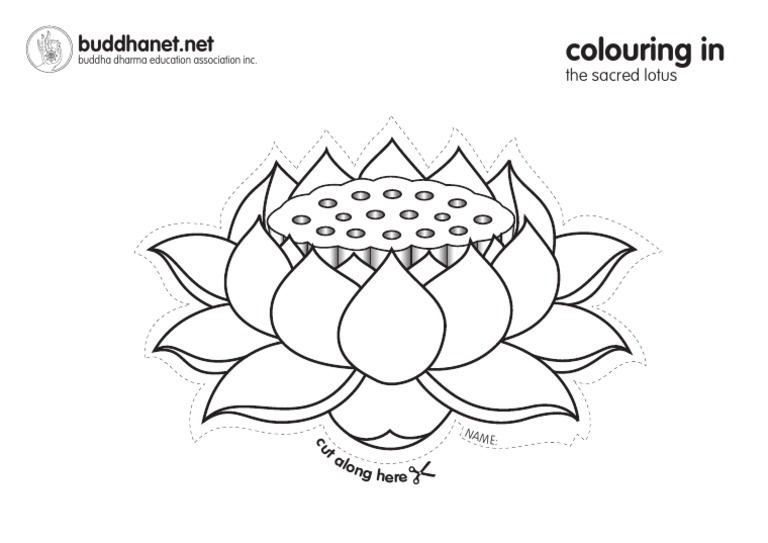 Colouring Lotus | PDF