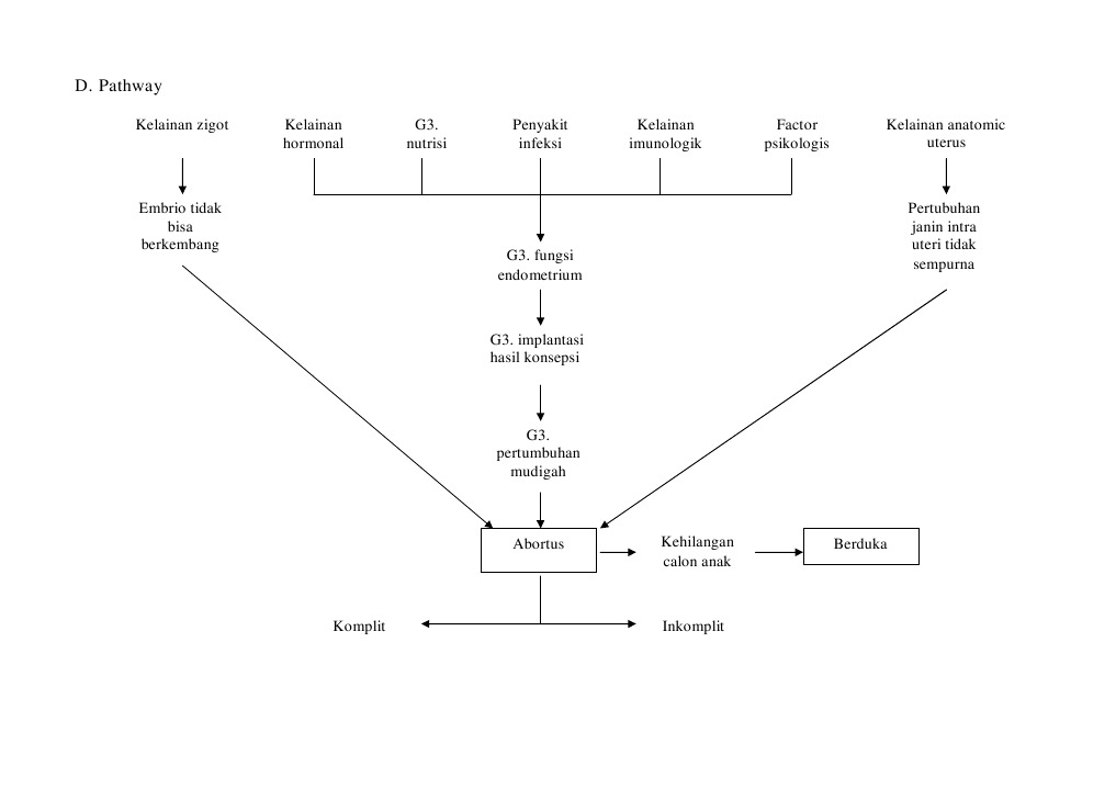 Pathway Abortus2 | PDF