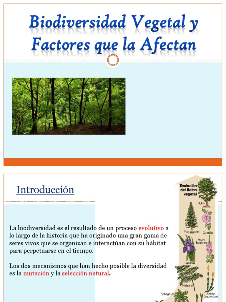 2012biodiversidad Vegetal y Factores Que La Afectan | Plantas ...