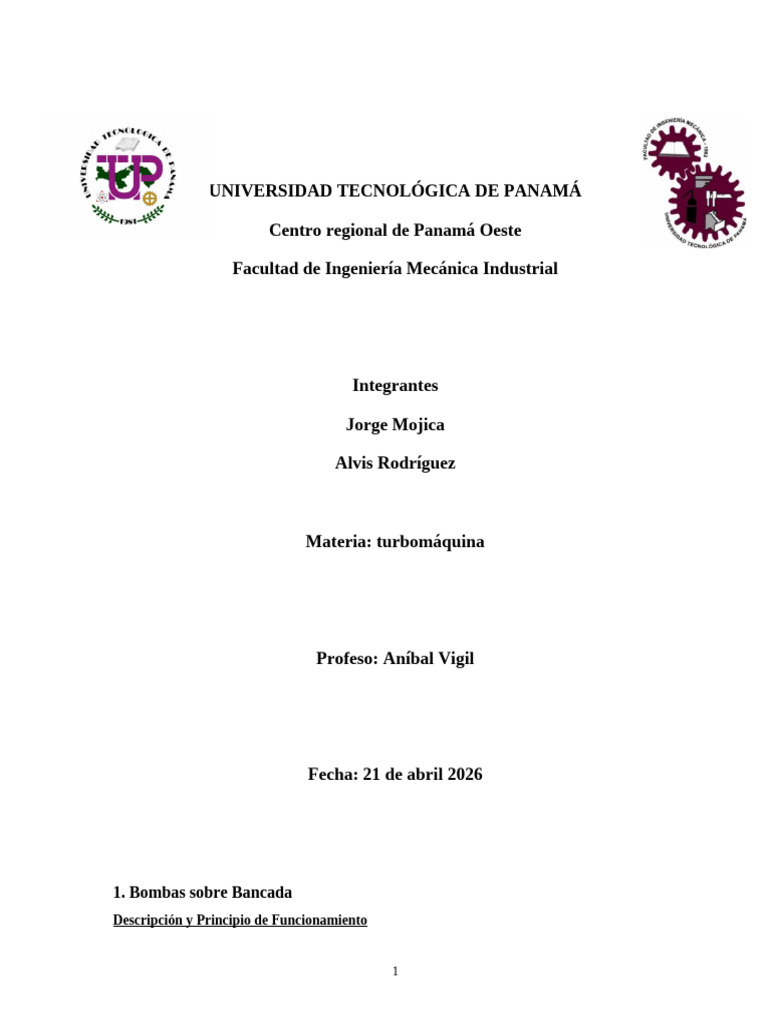 Asignacion1 Turbomaquinas Jorge & Alvis | PDF | Bomba | Tubería ...