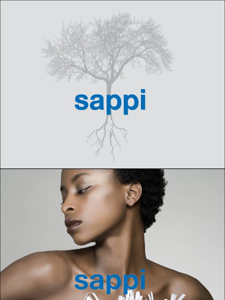 Sappi KPI Sample Presentation | PDF | Business