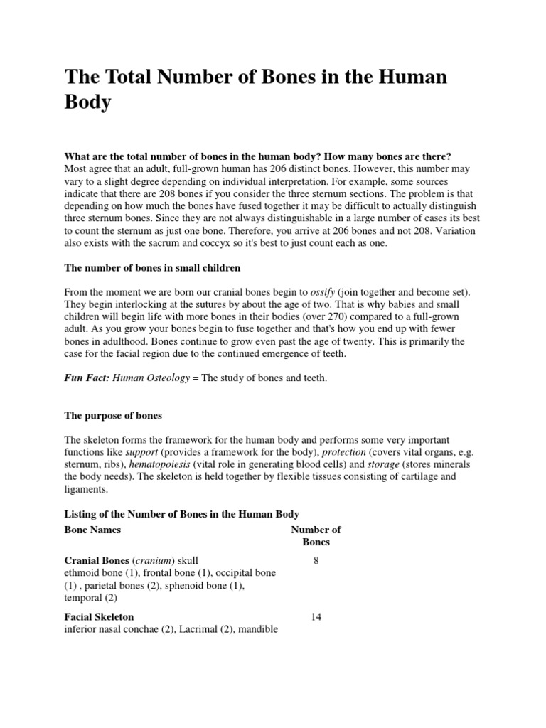 The Total Number of Bones in The Human Body | PDF | Skull | Bone