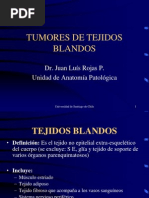 Compresion Radicular. | PDF | La columna vertebral | Sistema ...