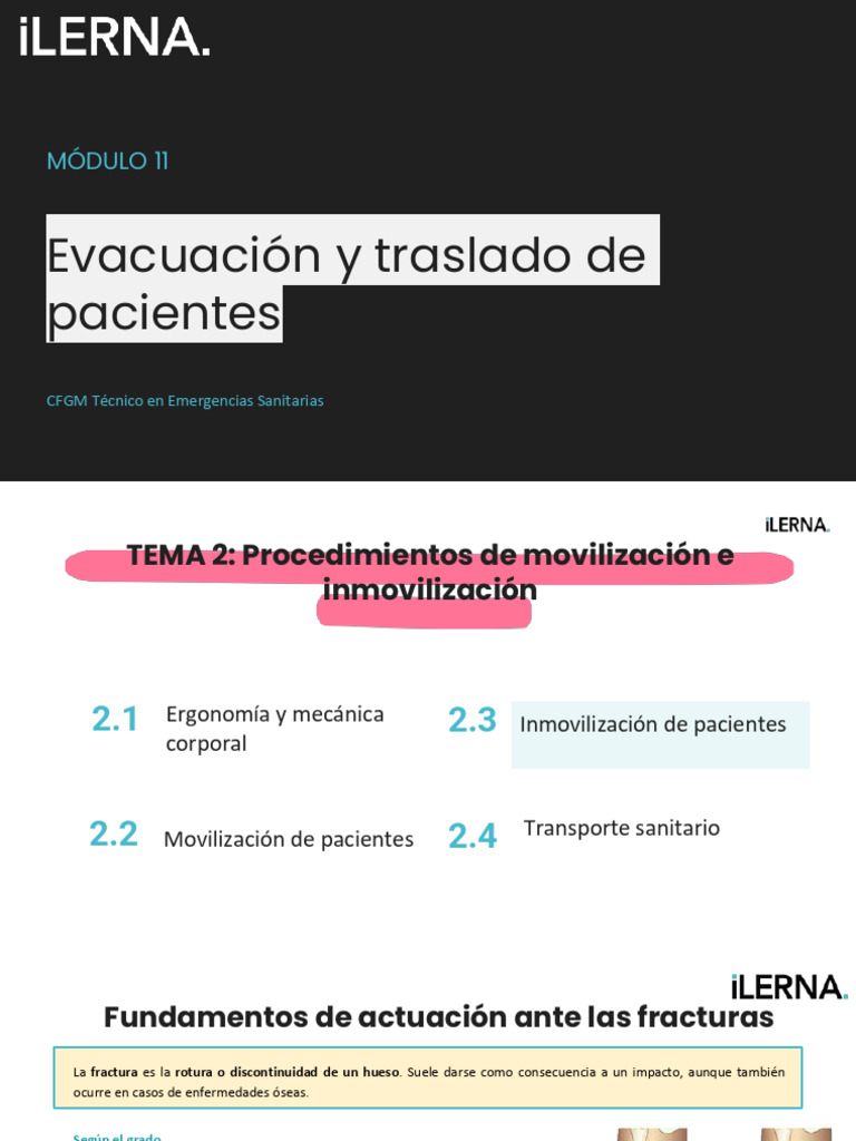 12_VT12_M11_EMS_2425 (Tema 2) 29.01 | PDF | Hueso | Hombro