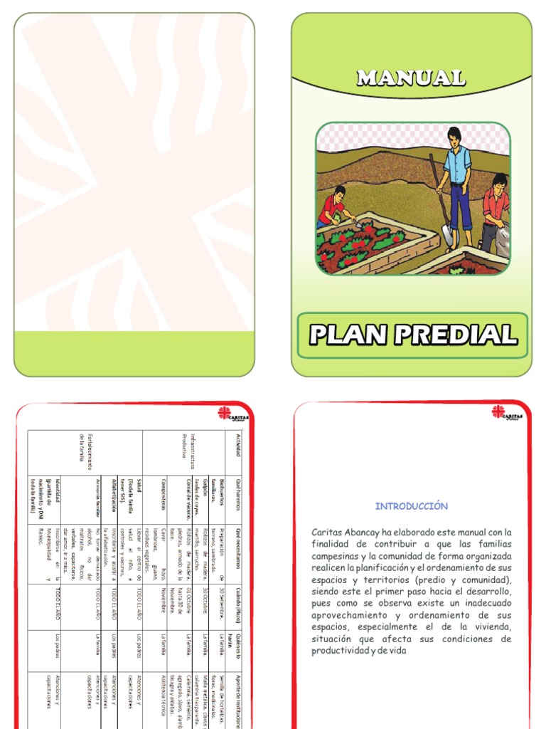 Plan Predial | PDF | Planificación | Cognición