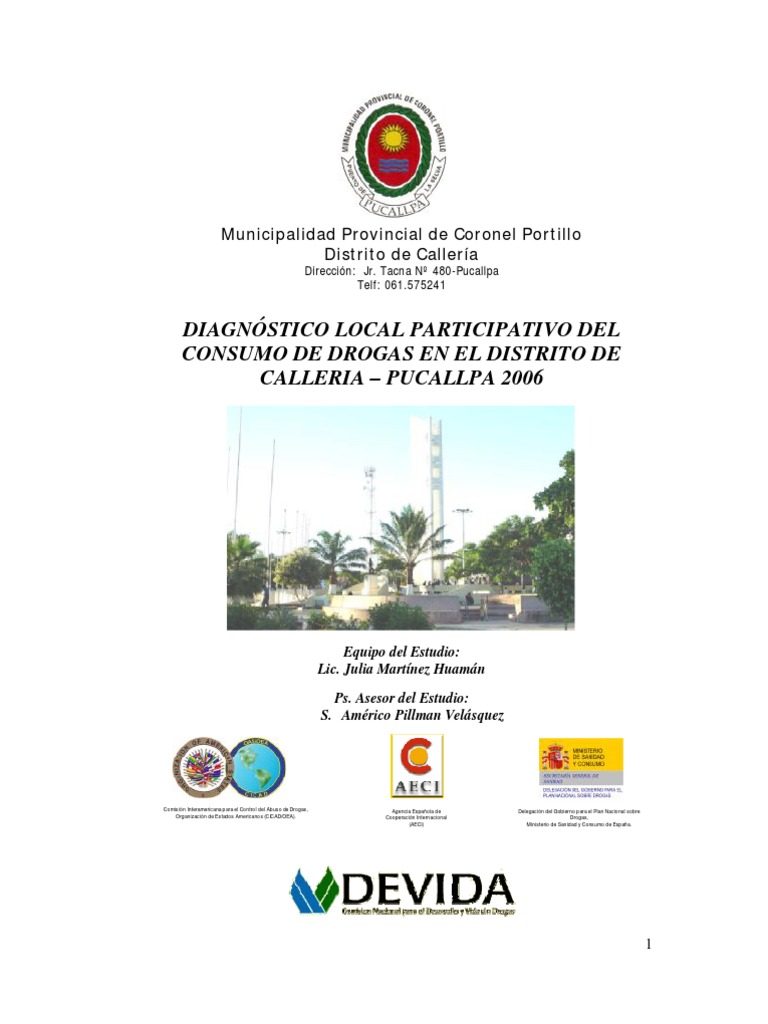 Diagnostico Final Calleria | PDF | La dependencia de sustancias | Juventud
