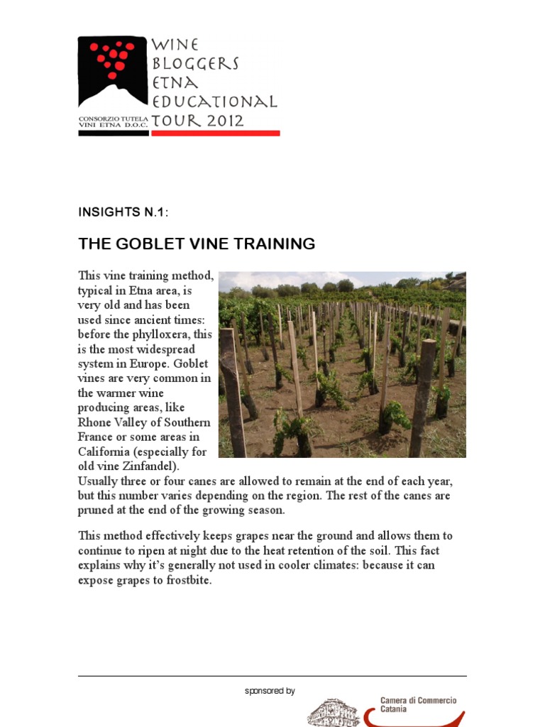 INSIGHTS #1 - Goblet Vine Training | Crops Originating From Europe | Vitis