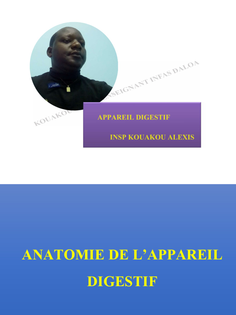 PDF Appareil Digestif l1 SF Ide 2023 | PDF | Pancréas | Foie