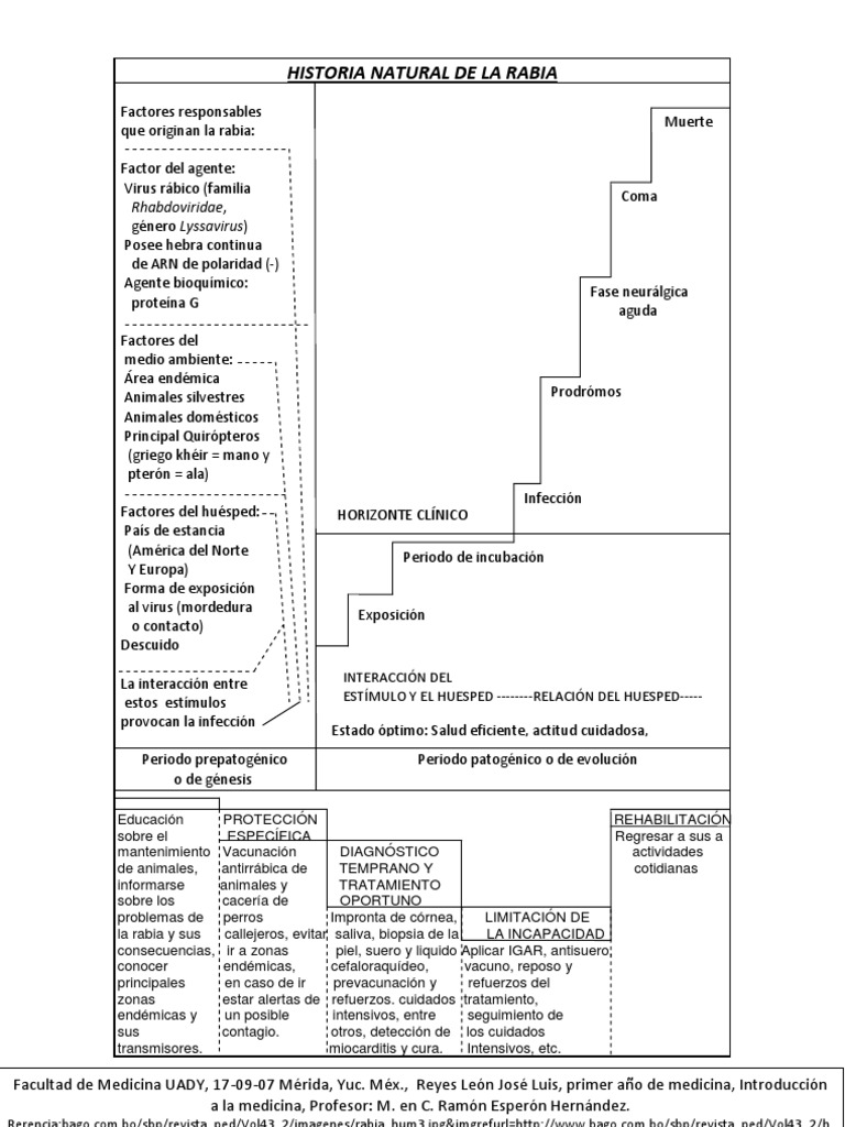 Historia Natural de La Rabia | PDF