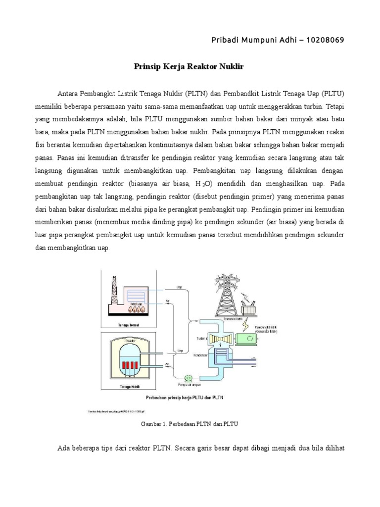 Prinsip Kerja Reaktor Nuklir dan PLTN | PDF