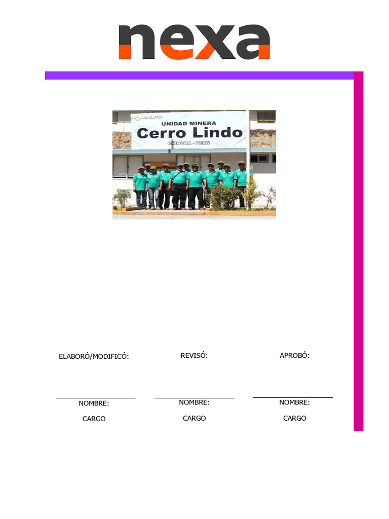 12 - Procedimiento de Estadisticas | PDF