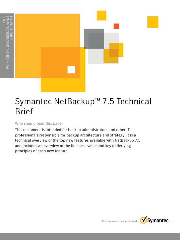 NETBACKUP White Paper | PDF | Backup | Hyper V