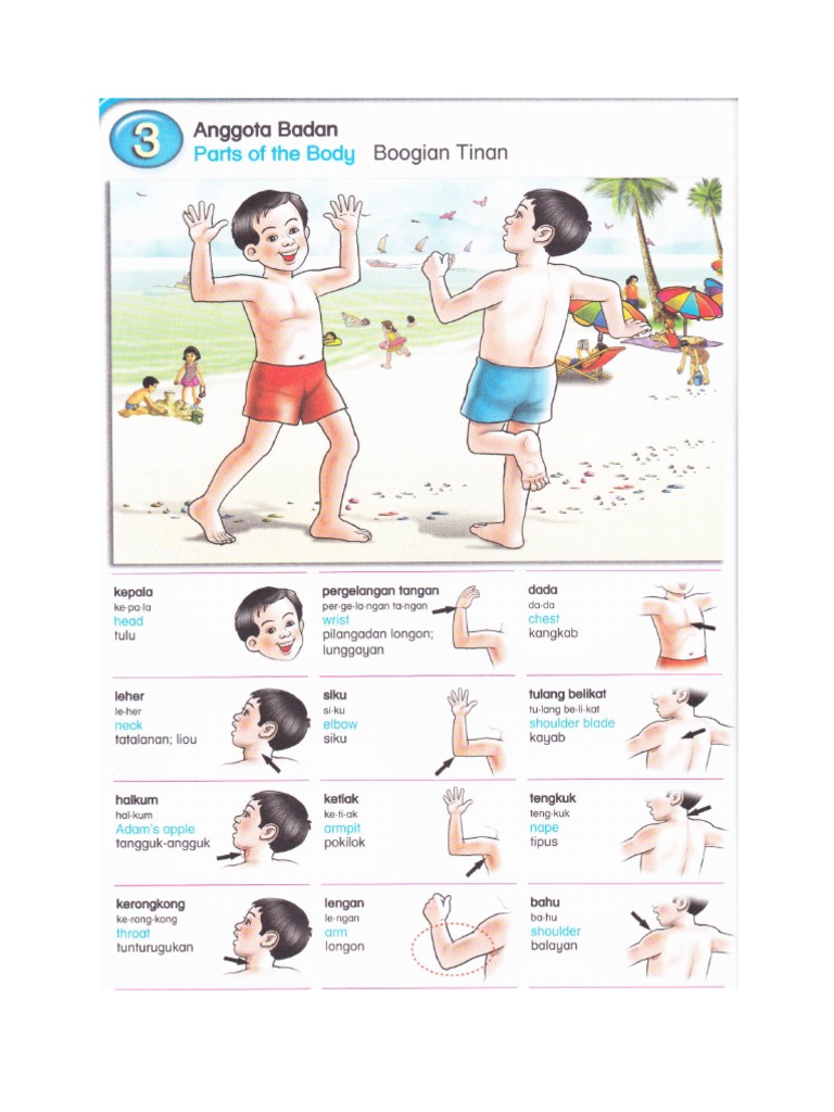 Ngaran Tinan Is Boros Kadazandusun (Nama Anggota Badan Dalam Bahasa Kadazandusun) | PDF