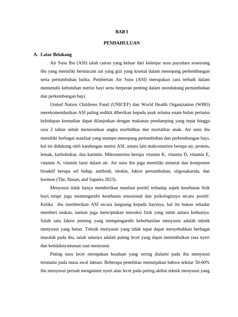 Revisi 3 Kie Bab 1,II,III | PDF