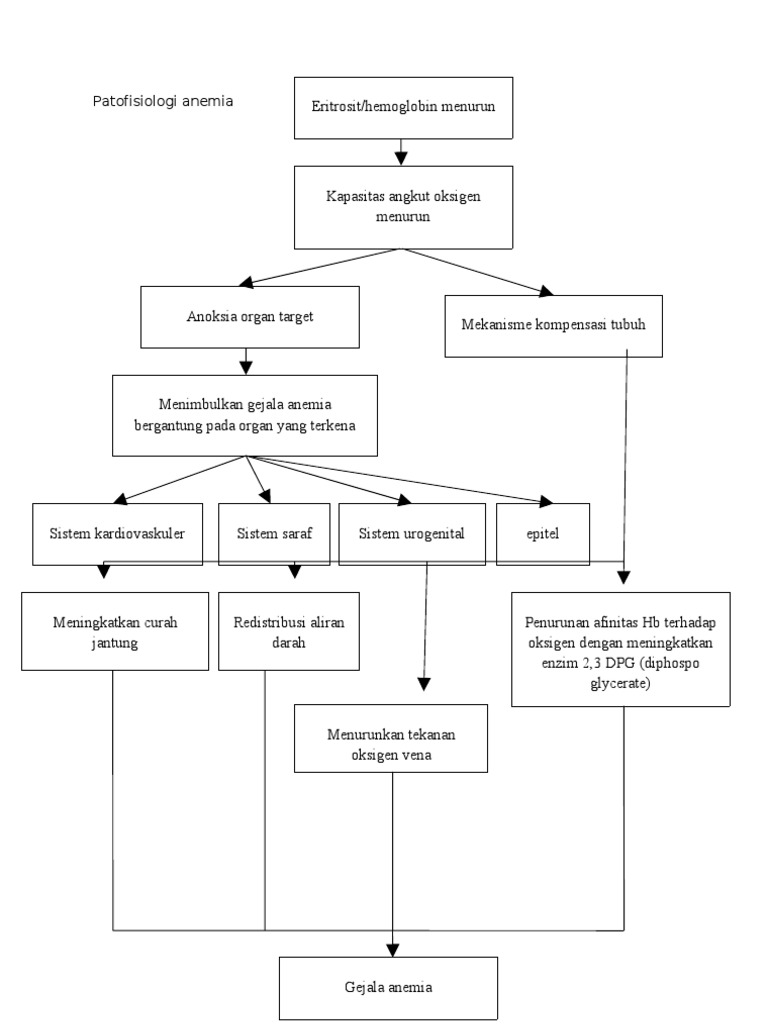 Patofisiologi Anemia