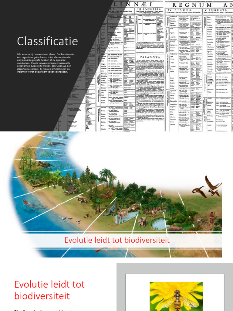 Biology Classification | PDF