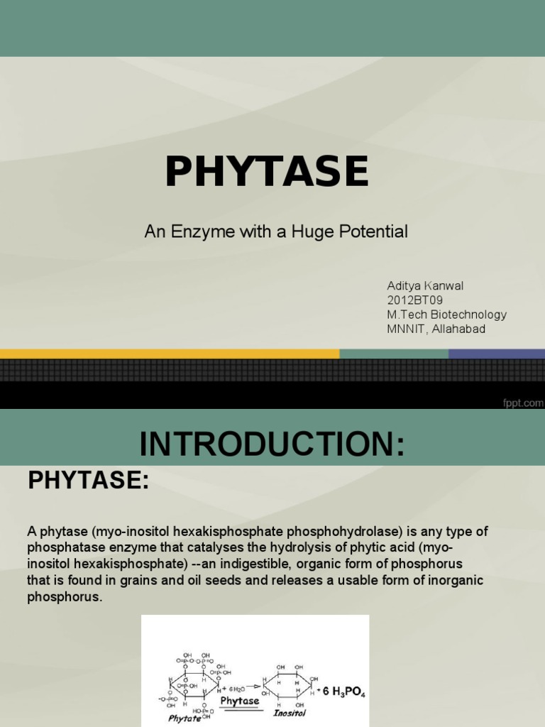 Phytase | PDF | Chemical Substances | Biochemistry