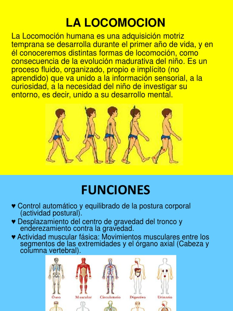 La Locomocion Vistapreescolar | PDF