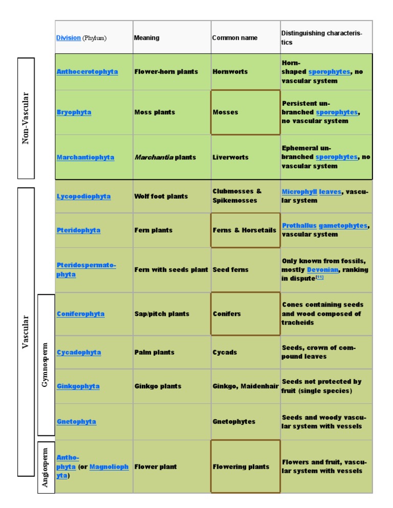 Plant Divisions | PDF