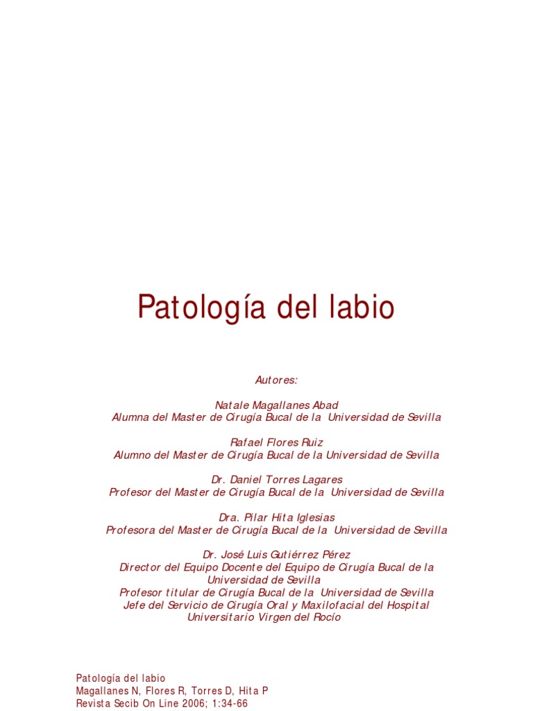 Anatomía y Diagnóstico del Labio | PDF | Anatomía humana | Medicina