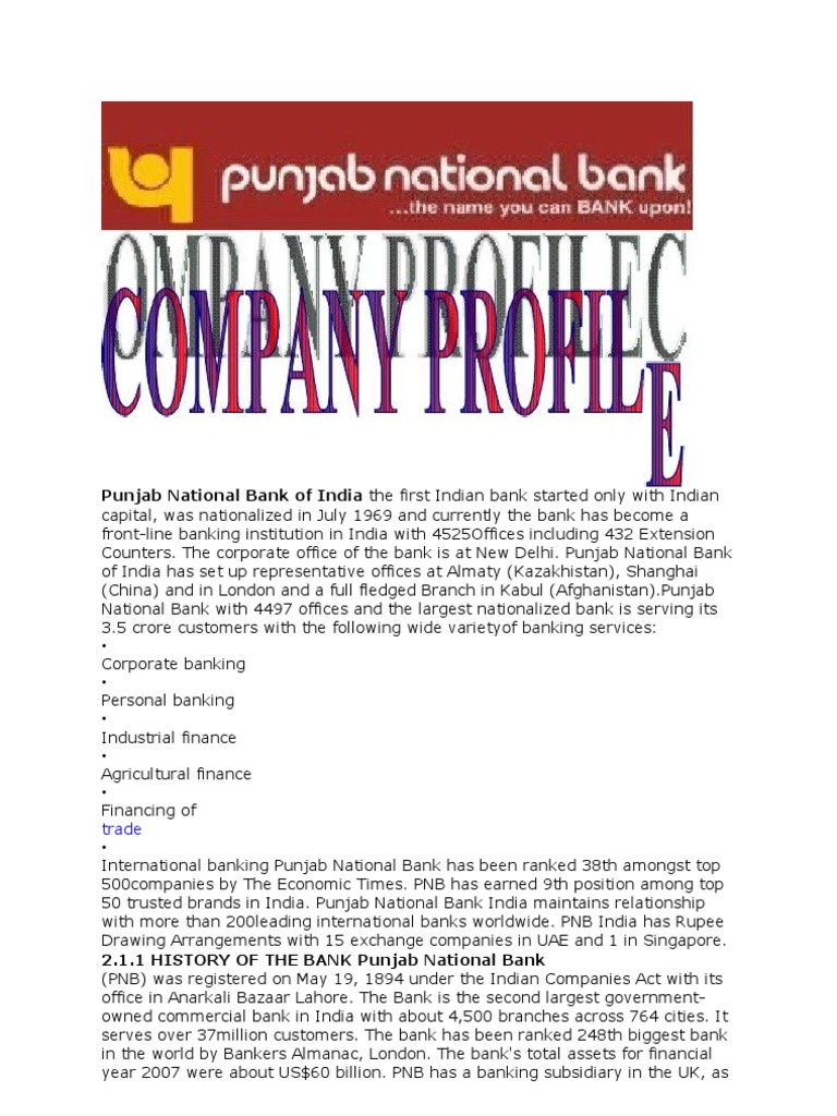 History and Overview of PNB Bank | PDF | Banks | Financial Institutions