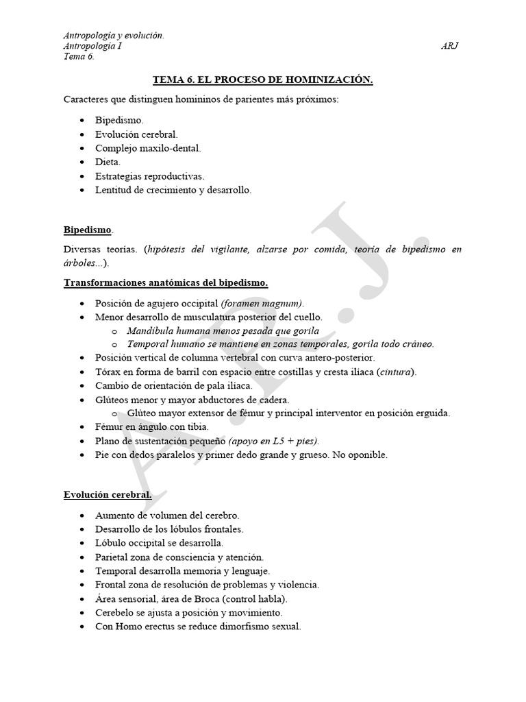 Tema 6. Proceso de Hominización. Comp | PDF | Humano | Evolución humana