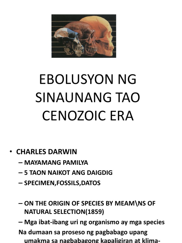 Evolution of Man | PDF | Evolution Of Primates | Paleoanthropology