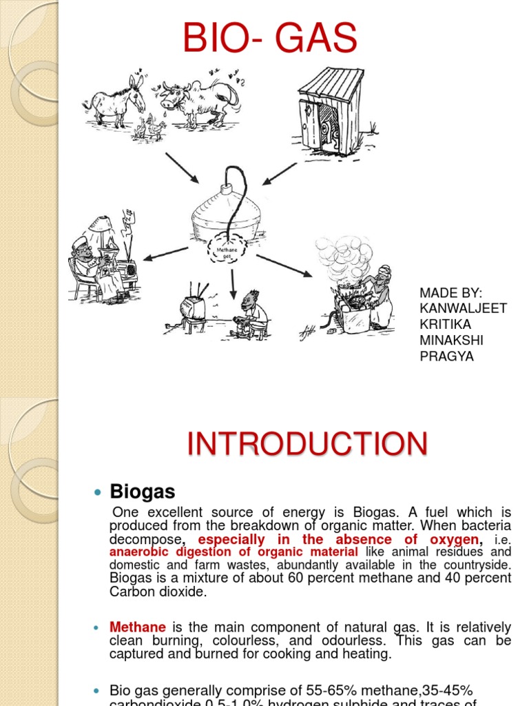 Presentation 1 Biogas | PDF | Biogas | Anaerobic Digestion
