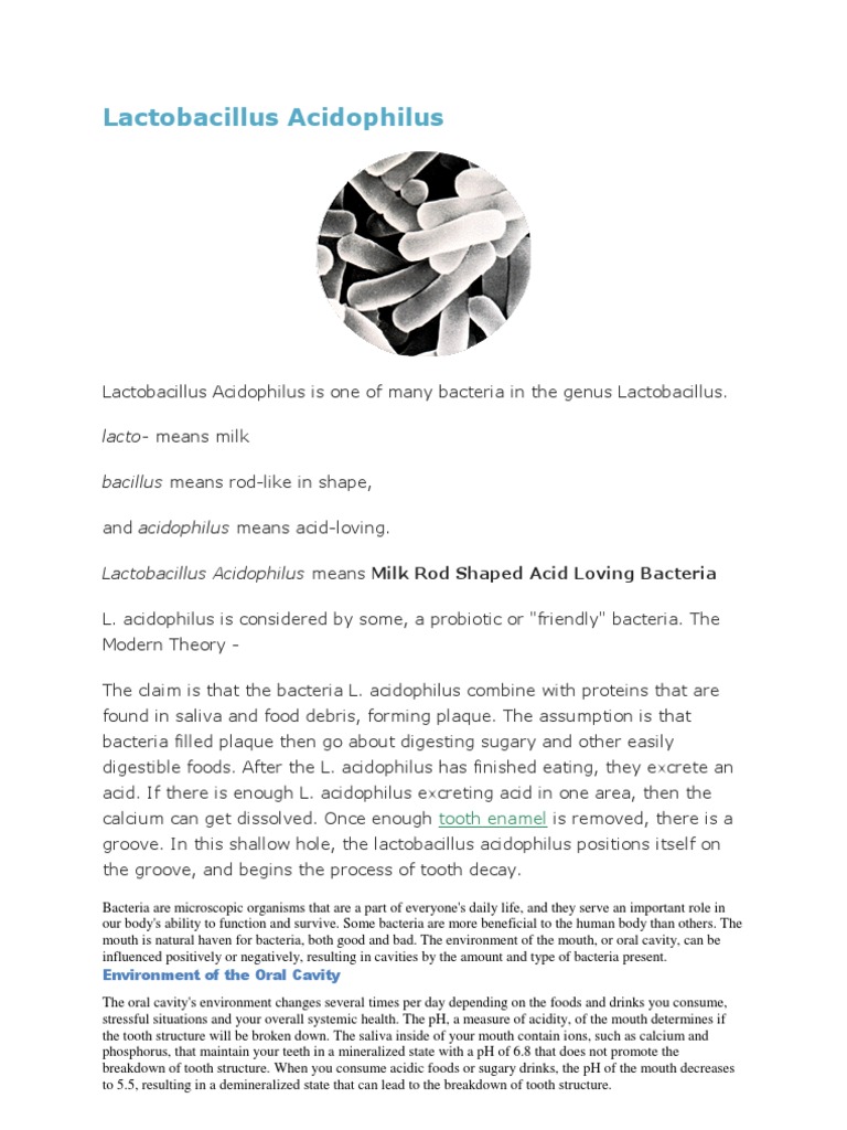 Lactobacillus Acidophilus | PDF | Digestion | Probiotic