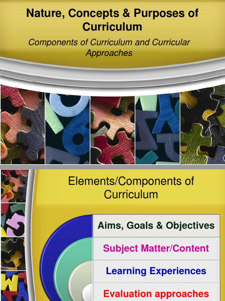 Components of Curriculum | PDF | Curriculum | Learning