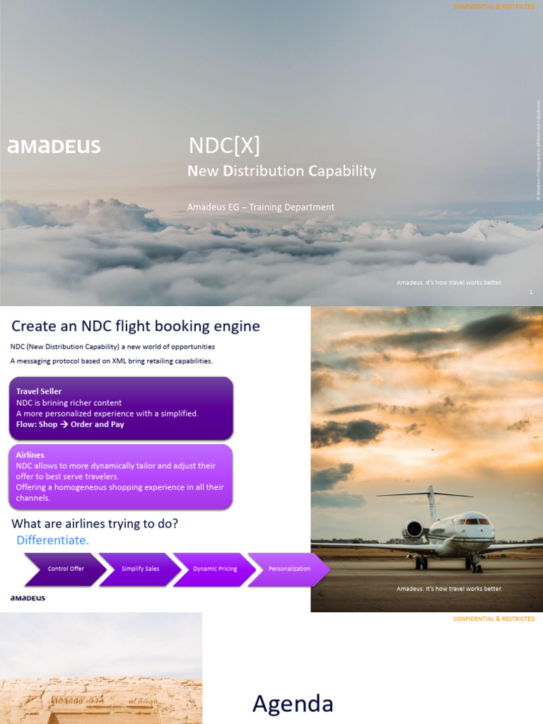 NDC - Overview | PDF | Airlines