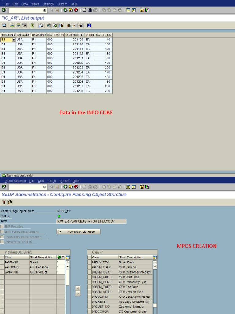 Life Cycle Planning SAP APO DP | PDF | Computing | Electrical Engineering