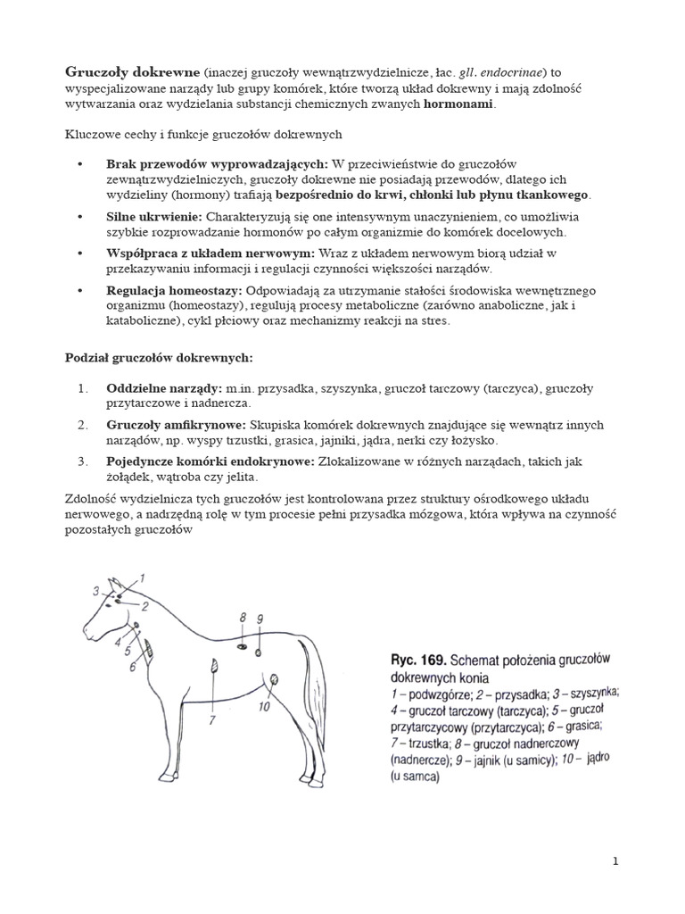 XI. Gruczoły Dokrewne - Podręcznik - MadziaRa | PDF
