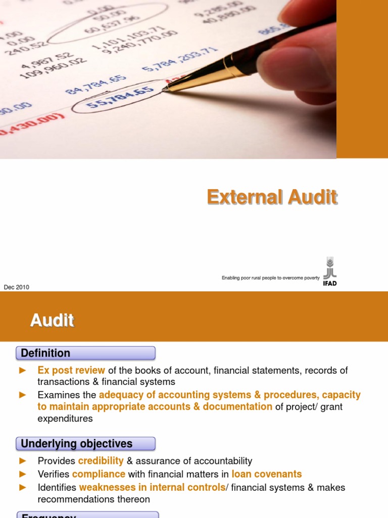 External Audit Overview and Requirements | PDF | Auditor's Report ...